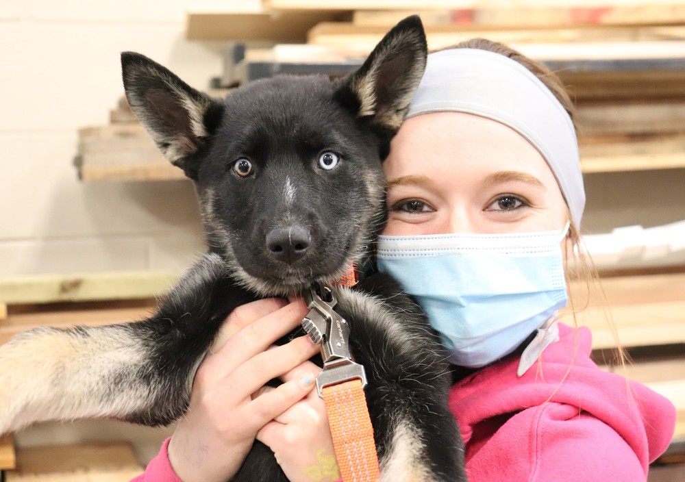 FFA Animal Day | Pettisville Schools